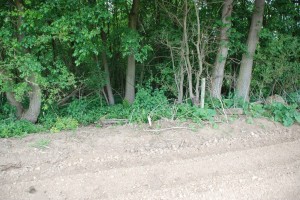 Ox Close Wood Hedge Creation Project - East Keswick Wildlife Trust