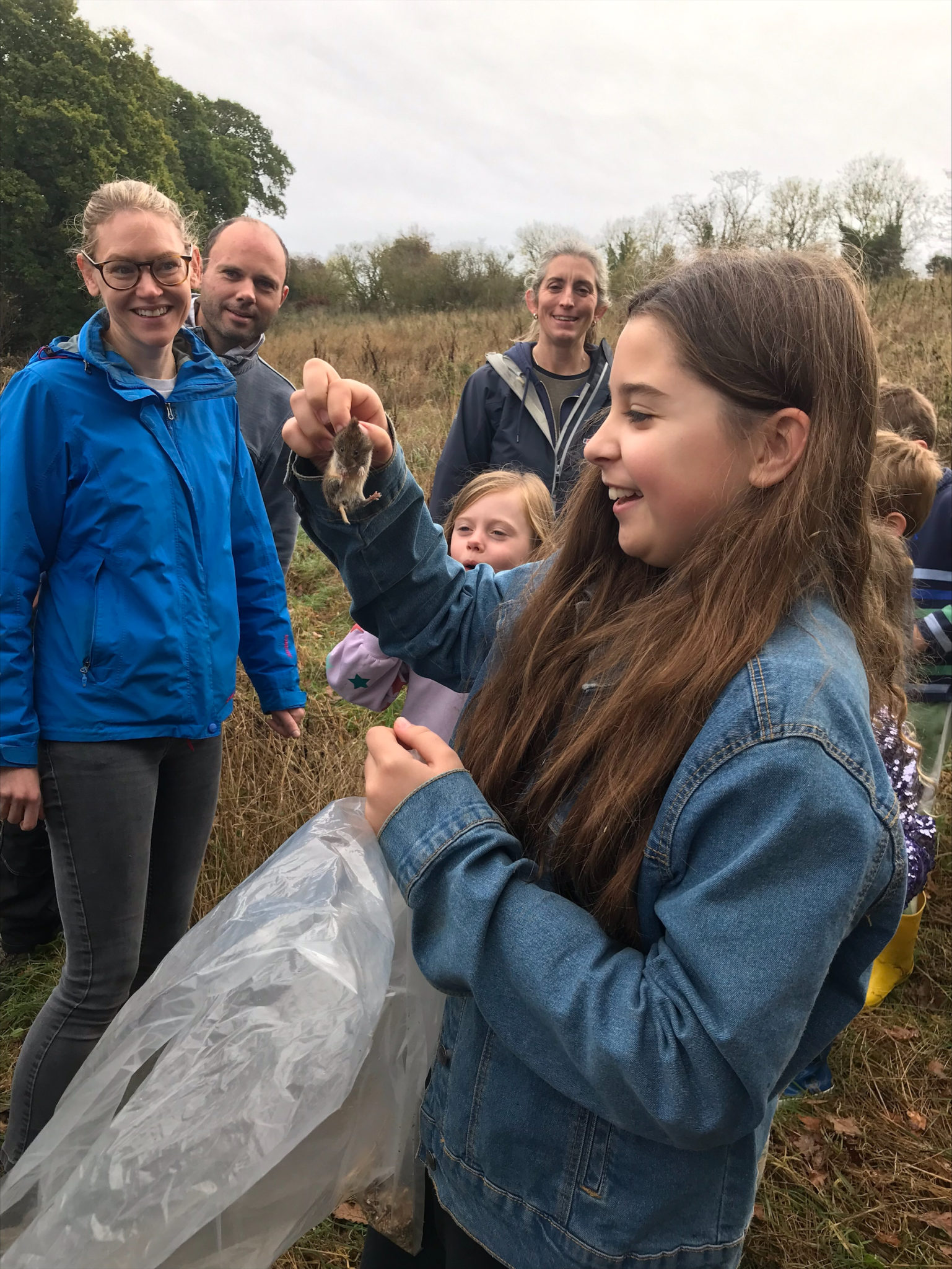 Harvest Mice Hunt Results - East Keswick Wildlife Trust